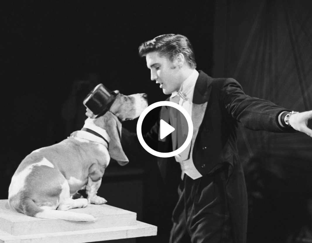 Elvis Presley – Hound Dog (’68 Comeback Special) - The Best Songs Of ...